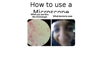 How To Use A Microscope PowerPoint By ABiologyTeacher TPT