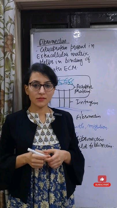 Fibronectin Functions Of Fibronectin Shorts Youtube