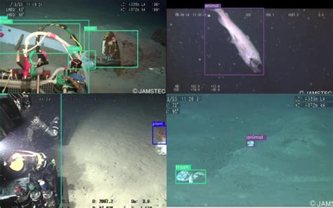 YOLOv Custom Dataset Training Underwater Trash Detection