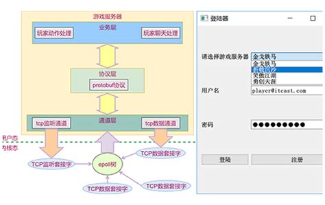 C C 培训 北京C 培训 好口碑C C 培训机构 传智教育