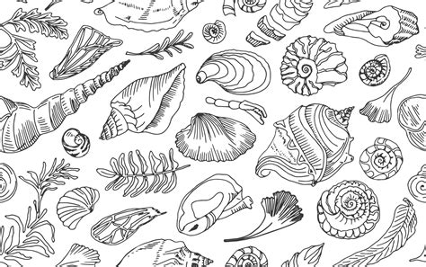 Isolated Black Line Contour Seashells And Plants Seamless Pattern Hand Isolated Black Line Contour Seashells And Plants Seamless Pattern Hand