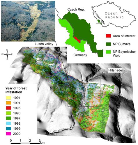 Remote Sensing Special Issue Remote Sensing Of Forest Health