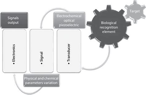 1 Schematic Representation Of A Biosensor Download Scientific Diagram