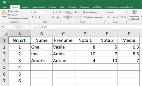 M4 cls 8 L1 Foi de calcul introducere InfMix Mix de Informații
