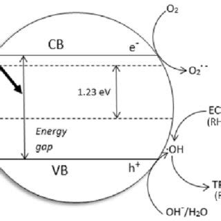 Mechanism Of TiO Photocatalysis ECs Contaminants Of Emerging Concern Download Scientific