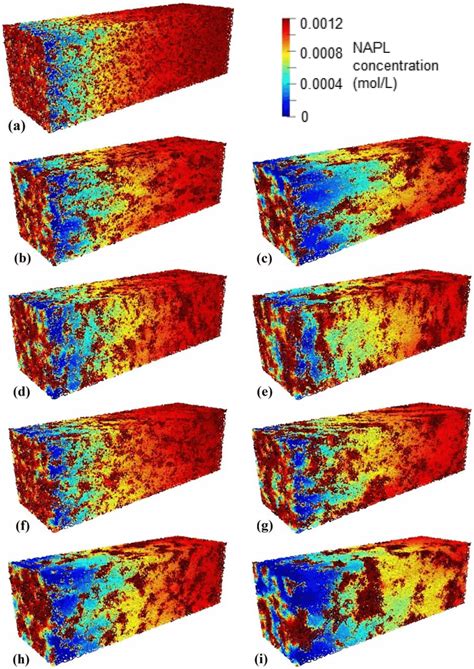 Napl Concentration Through The Pn‐2 85 Napl Saturation With The Download Scientific Diagram