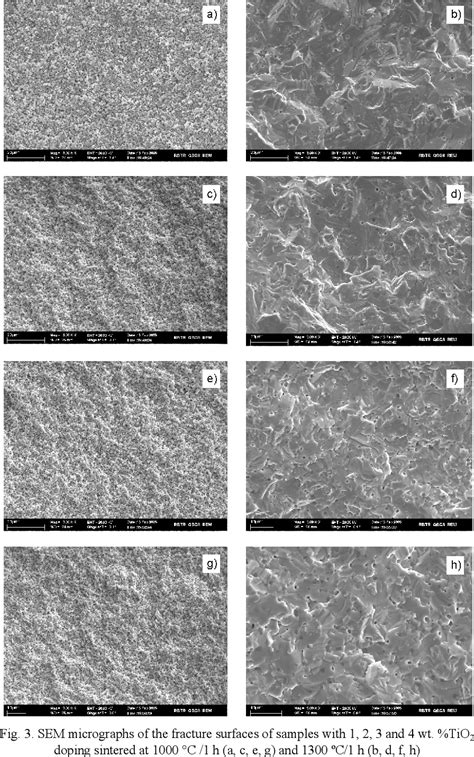 Figure 3 From Densification And Grain Growth Of Tio2 Doped Zno