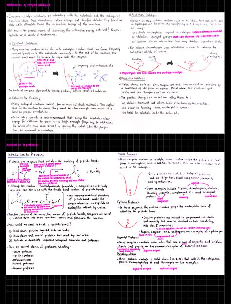 Biochem Chp 9 Lectures BCH3033 Studocu