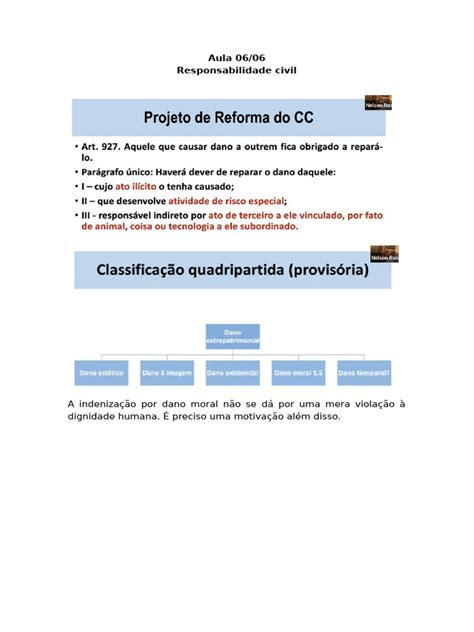 Aula 0606 Responsabilidade Civil Pdf