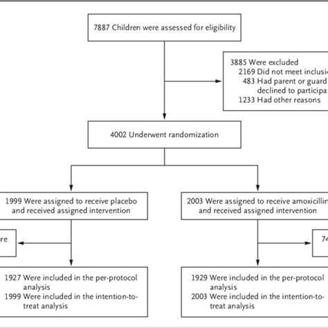 Screening Randomization And Analysis Download Scientific Diagram
