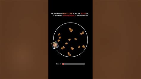 Satisfying Bouncingballs Asmr Viral Coding Python Youtube