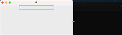 das tkinter entry widget [mit video]