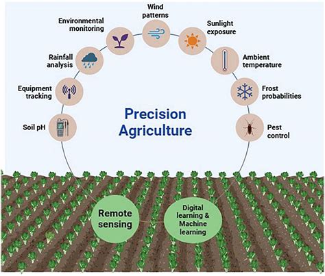Frontiers Precision Agriculture For Improving Crop Yield Predictions A Literature Review