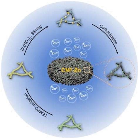 Three Dimensional Zinc Seeded Carbon Nanofiber Architectures As
