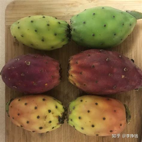 火龙果是仙人掌的果子吗？ 知乎