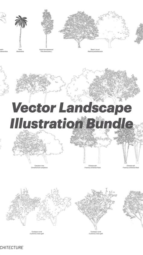 Pin On Landscape Planting