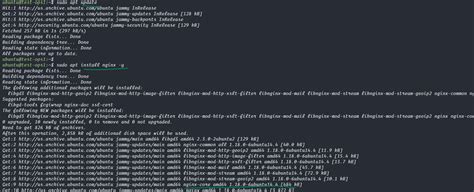 Lets Install A Webserver To Deploy Our Frontend And Create A Working