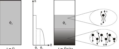 Schematic Of A Sedimentation Process Showing Basic Consolidation Download Scientific Diagram