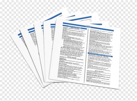 페이퍼 라인 브랜드 폰트 라인 텍스트 예술 Png Pngegg