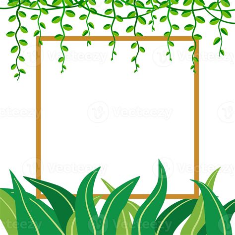 Green Leaves Plant And Vines With Square Frame Border Copy Space For Text Illustration Fronds