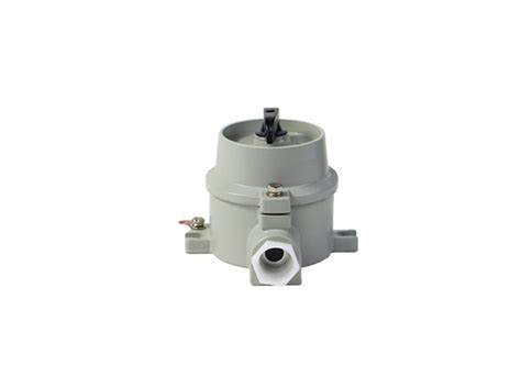 explosion proof class 1 switch factory flameproof on off switch sureall