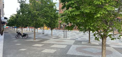 Tree Trimming Pruning And Removal A Homeowners Guide To