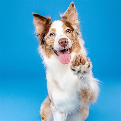 Ова се нашите последни денови и не знаеме како да кажеме збогум…😭 Срцето не боли распарчено е💔