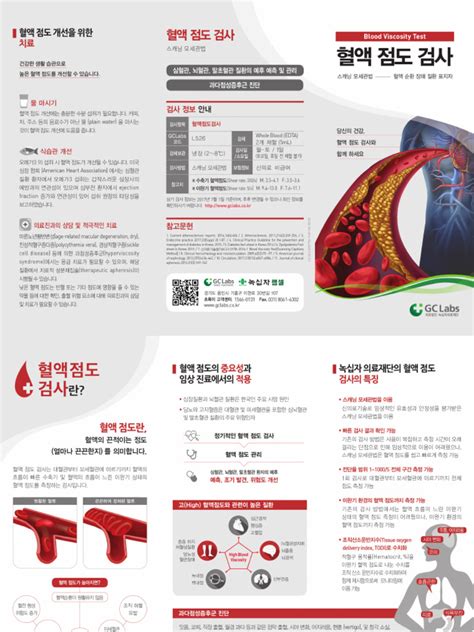 혈액점도검사2017 Pdf