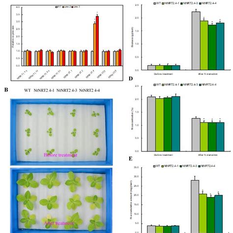 General Principle Of Bacterial Artificial Chromosome Bac Download Scientific Diagram