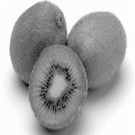 Inovako Instance Segmentation Dataset And Pre Trained Model By Arvis