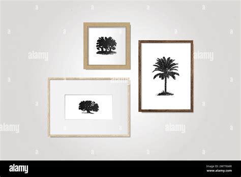Tree Frame Collection On A Wall Vector Stock Vector Image And Art Alamy