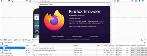 Python Get Cookies For Subdomain Or A Particular Domain Stack