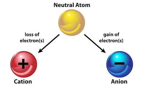 Anion Là Gì Định Nghĩa Ví Dụ Câu Và Cách Sử Dụng Anion Trong Tiếng Anh