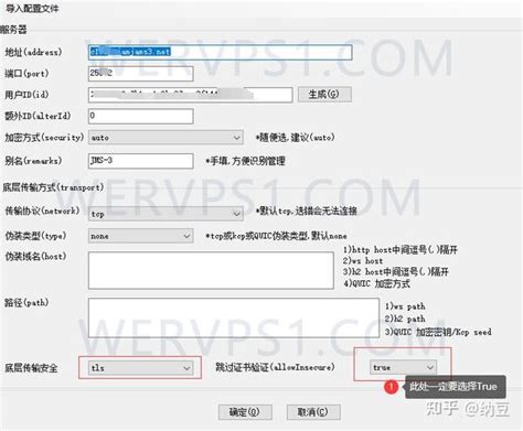 V2rayn配置 知乎
