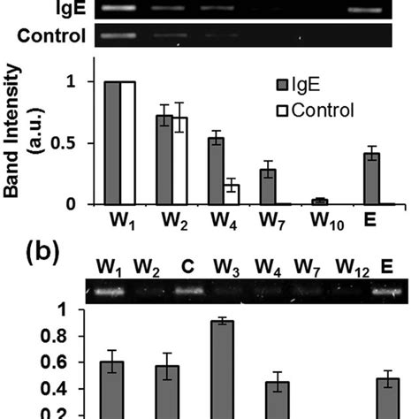 Target Binding Affinity Of Aptamer Candidates Resulting From