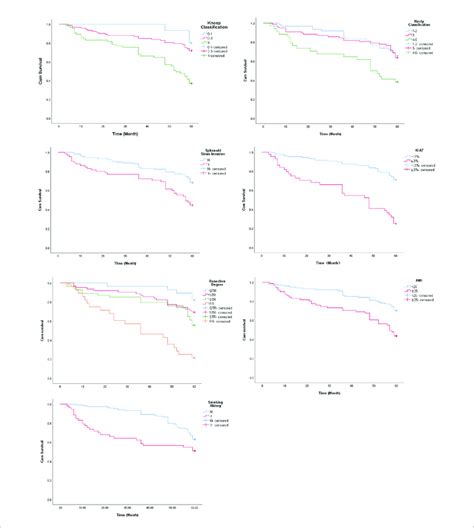 Survival Curves Of Patients Stratified On The Basis Of Knosp