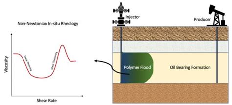 Polymer Injectivity Test Design Using Numerical Simulation
