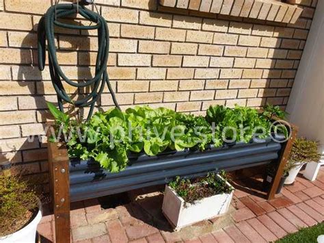 Raised Garden Beds In Garden Route
