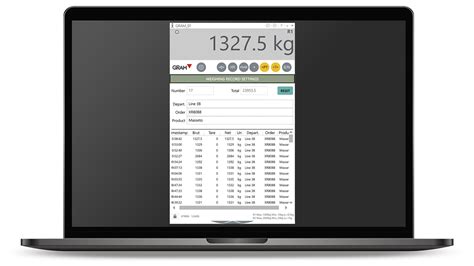 Gram Wifi Connection Weighing Net