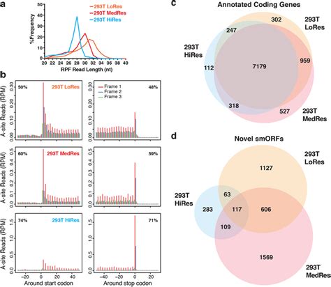 Accurate Annotation Of Human Protein Coding Small Open Reading Frames Pmc