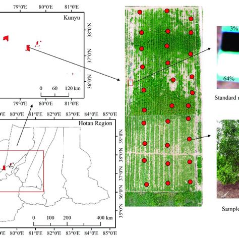 Schematic Map Of The Study Area Download Scientific Diagram