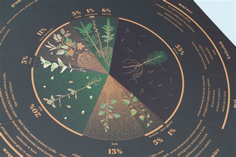 Data Visualization Calendar Behance