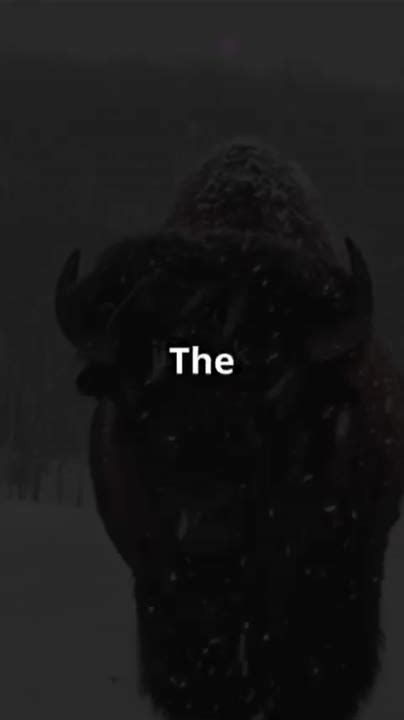 The Resilient Leaders Playbook On Linkedin Resilientleadership Runtowardsthestorm