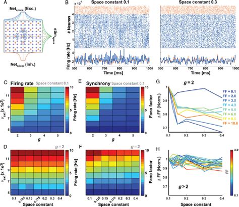 A Scheme Of The Cortical Network Model 50 000 Neurons 80 Download Scientific Diagram