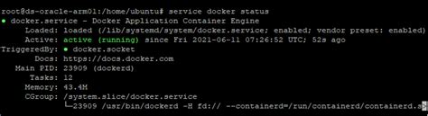 Arm Linux 스크립트로 Docker 최신버전 설치하기 달소씨의 하루