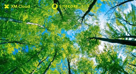 Sustainable Development With Sitecore Xm Cloud