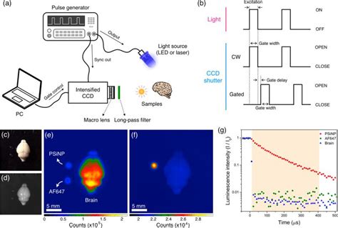 Gated Luminescence Imaging Of Silicon Nanoparticles Abstract