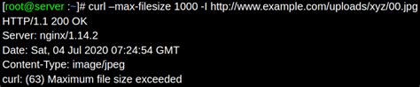 How To Fix Curl 63 Maximum File Size Exceeded Download