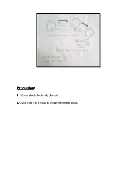 Cbse Class 12 Biology Practical Docx