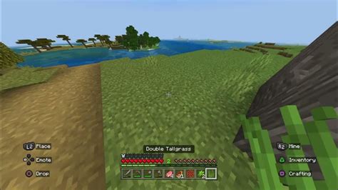 Minecraft Double Tall Grass Youtube